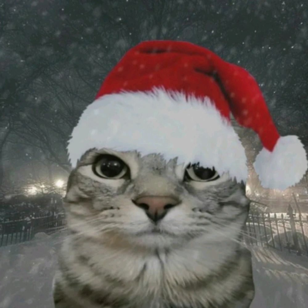 Иконка канала シ︎Miss♡✿ᴳᴵᴿᴸツ