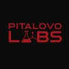 Иконка канала Pitalovo Labs