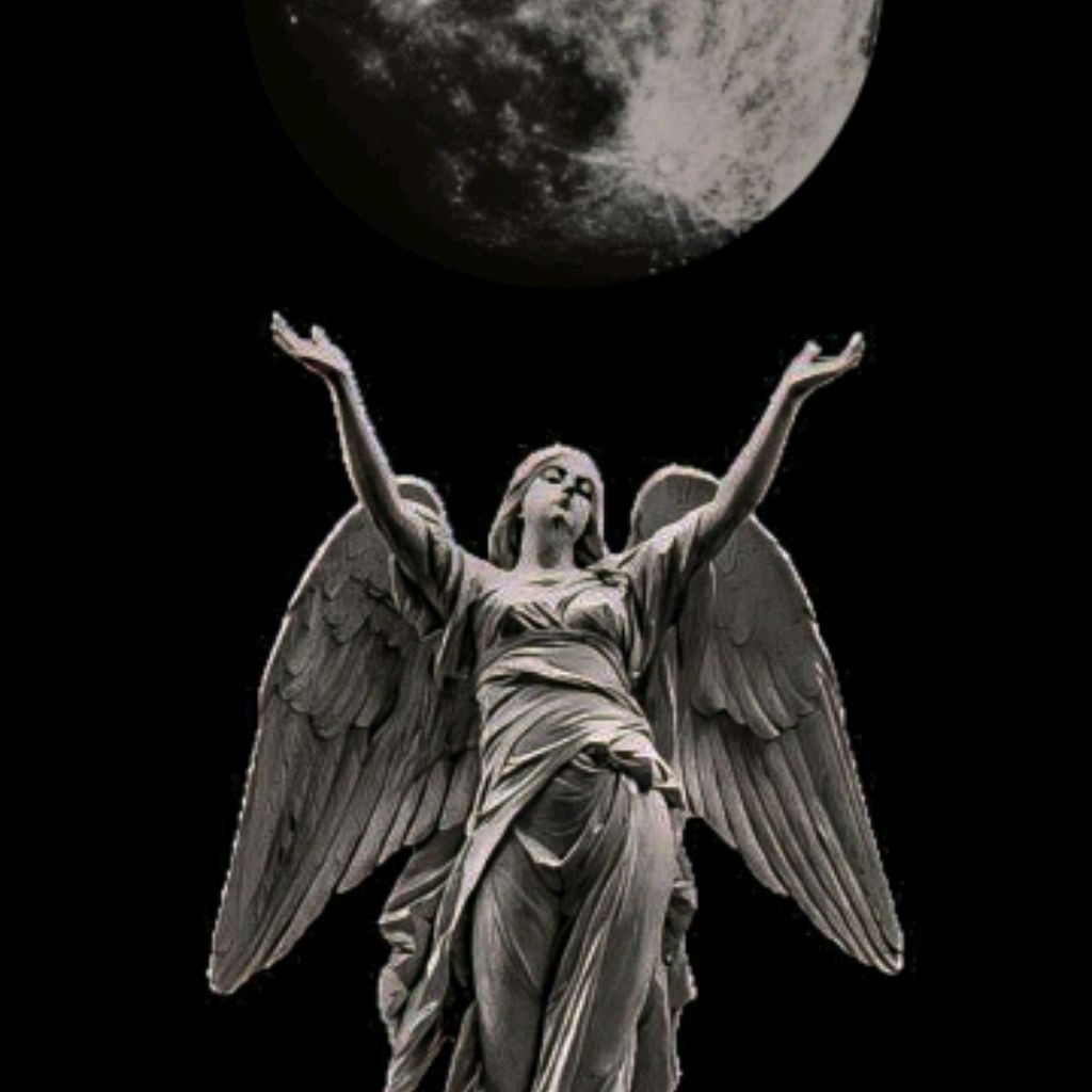 Иконка канала 𝓢𝓱𝓸𝓴𝓸𝓵𝓪𝓭𝓴𝓪🍫