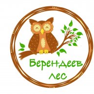 Иконка канала berendeevles