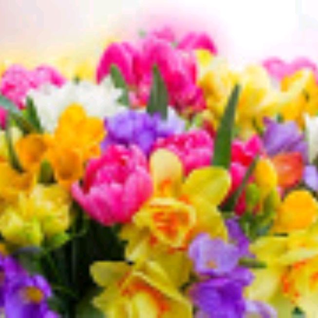 Иконка канала @KRISTINA_NIKOLISKAIA 🌹🌹🌹 ТГ 💟 ВСЕМ ОБО ВСЁМ