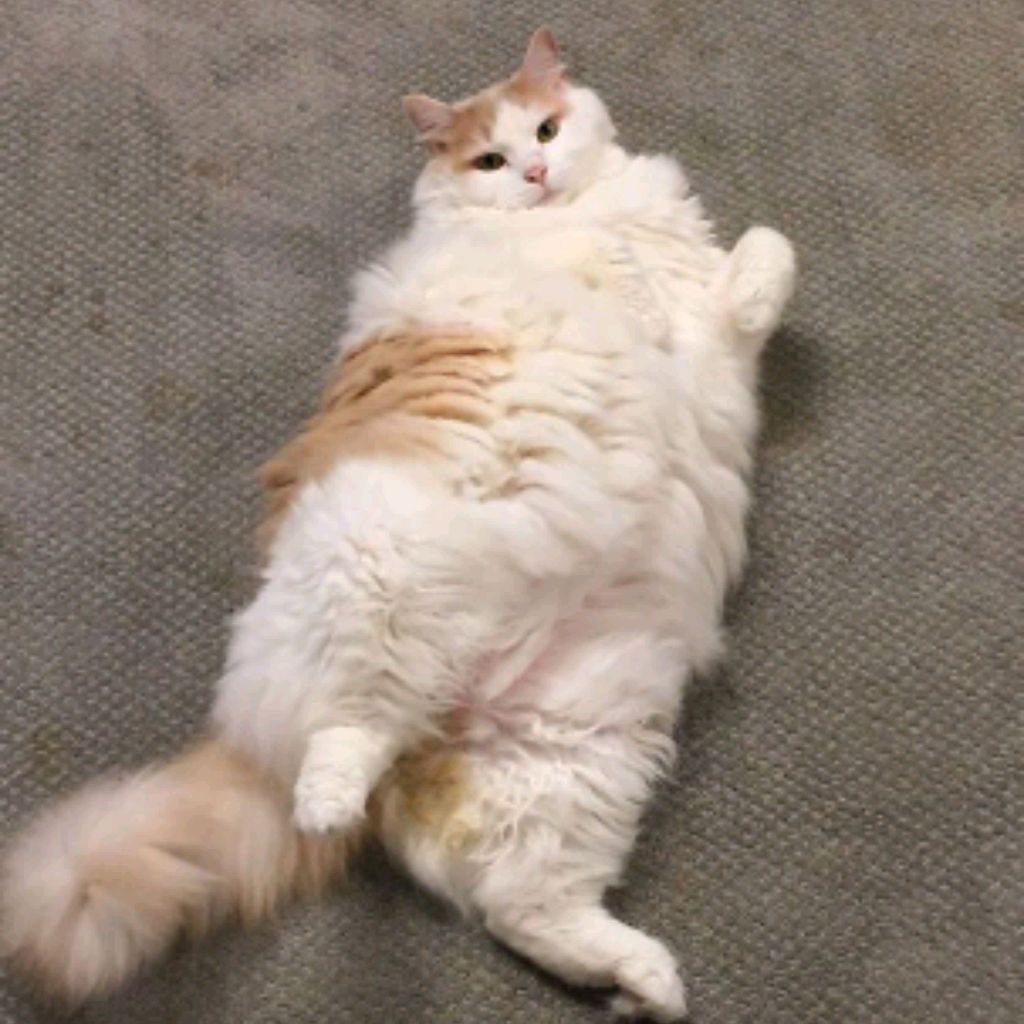 Иконка канала Sleh X#123 (Влог)