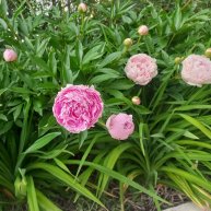 Иконка канала Олеся Валерьевна