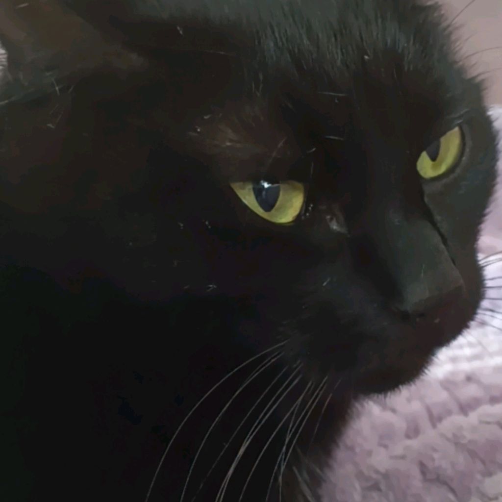 Иконка канала channel74499870