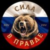 Иконка канала Сила в Правде ZOV