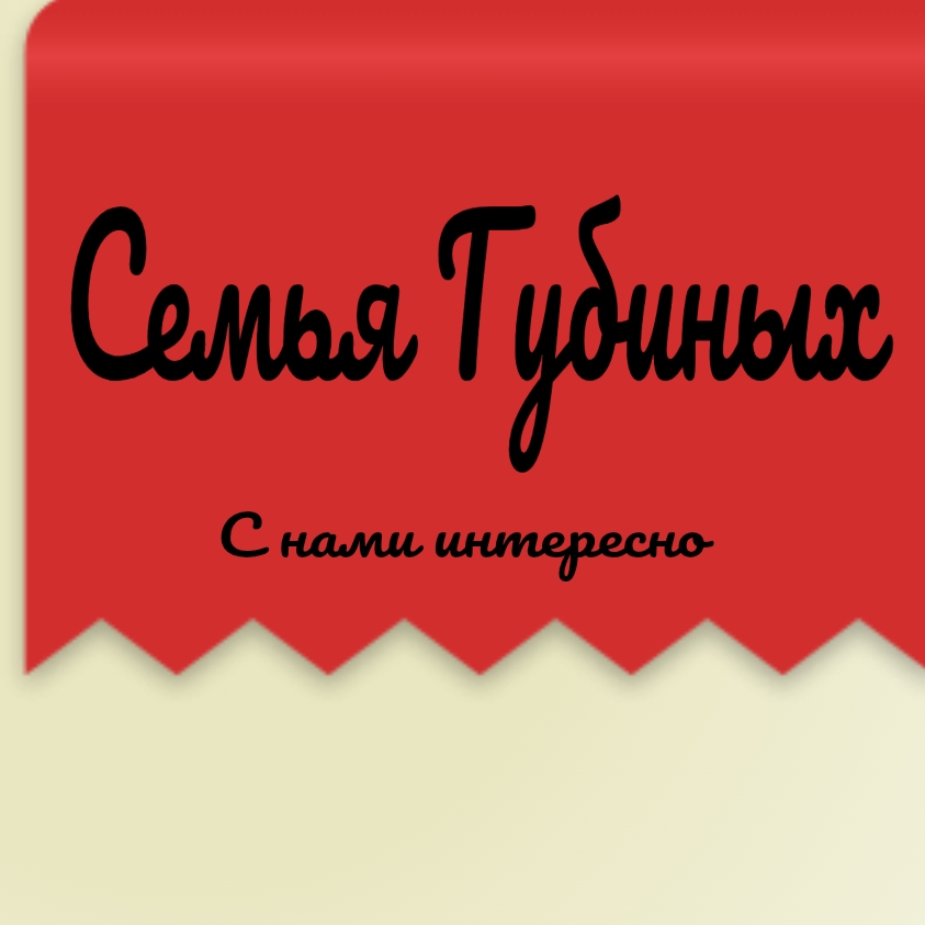 Иконка канала Семья Губиных