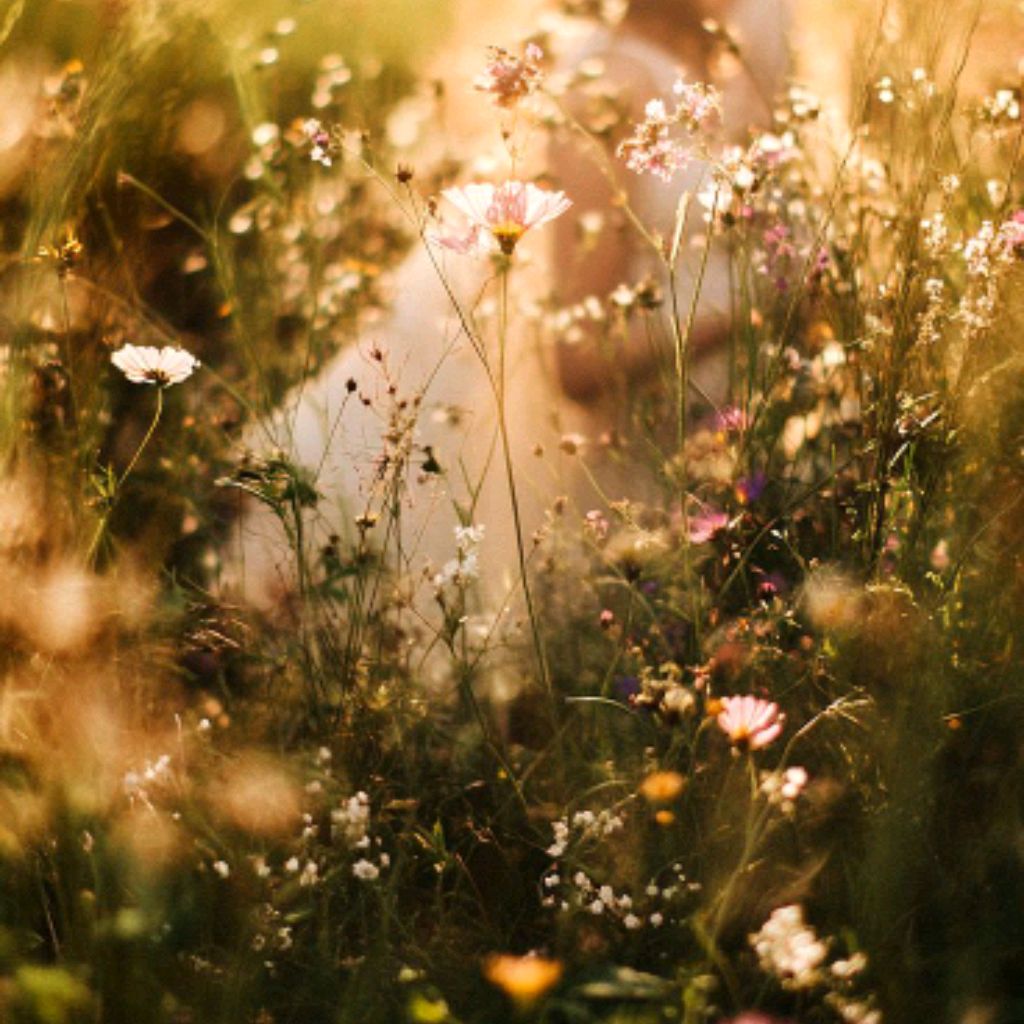 Иконка канала FrostByte