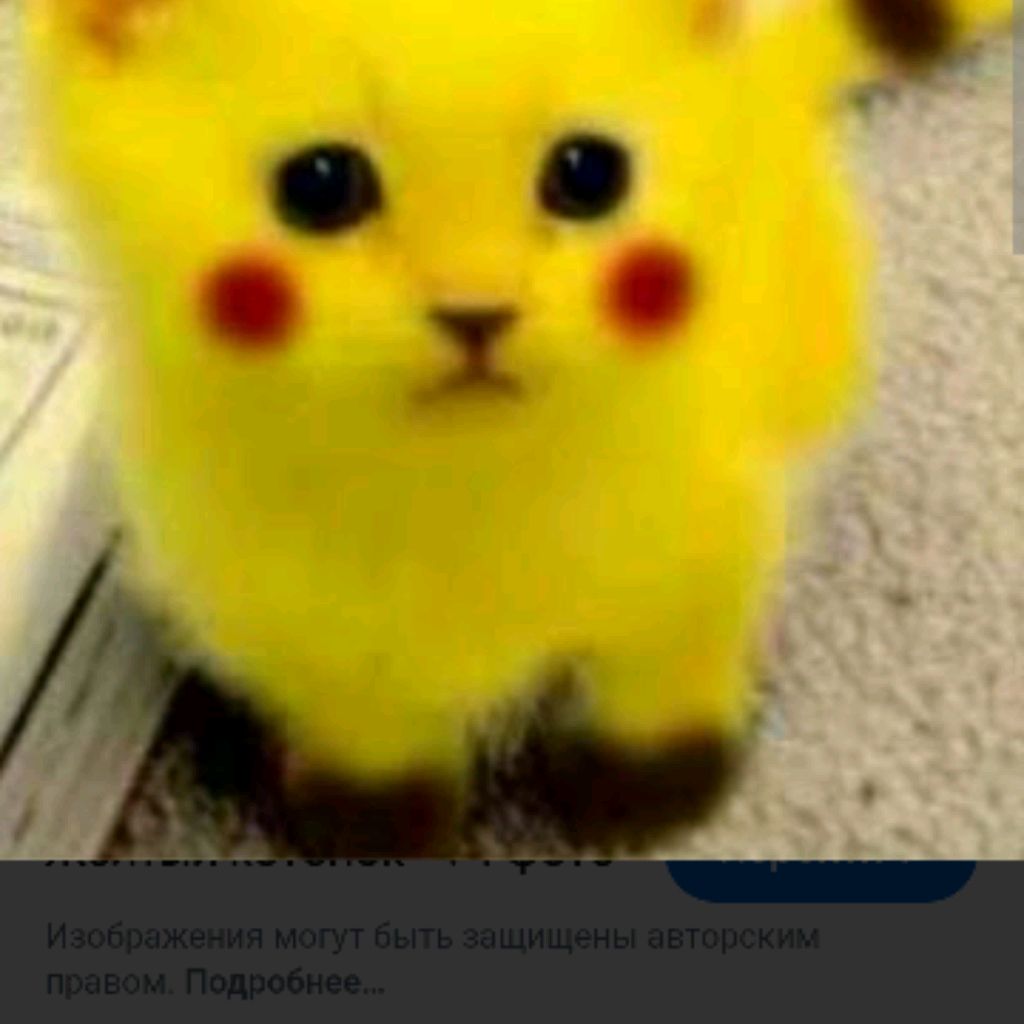 Иконка канала Χⲟⲙⲙυ🐹💛 υ Χⲟⲙя🐹🩵