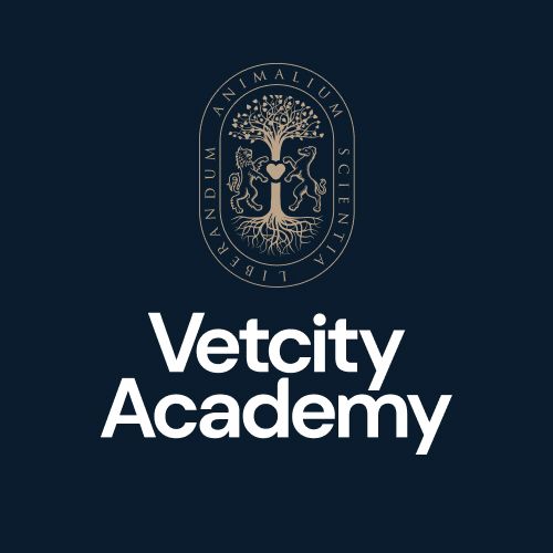 Иконка канала Vetcity Academy