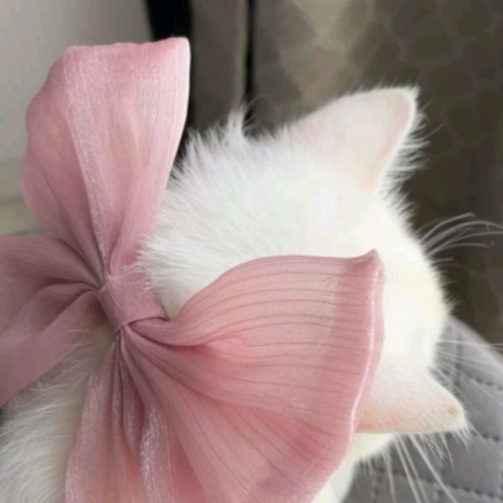 Иконка канала •°Sienamy°•🎀