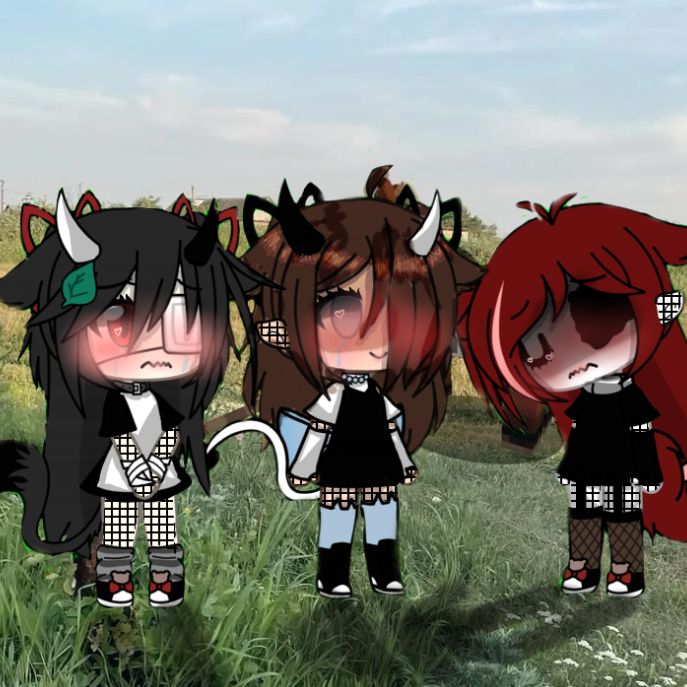 Иконка канала Toffee