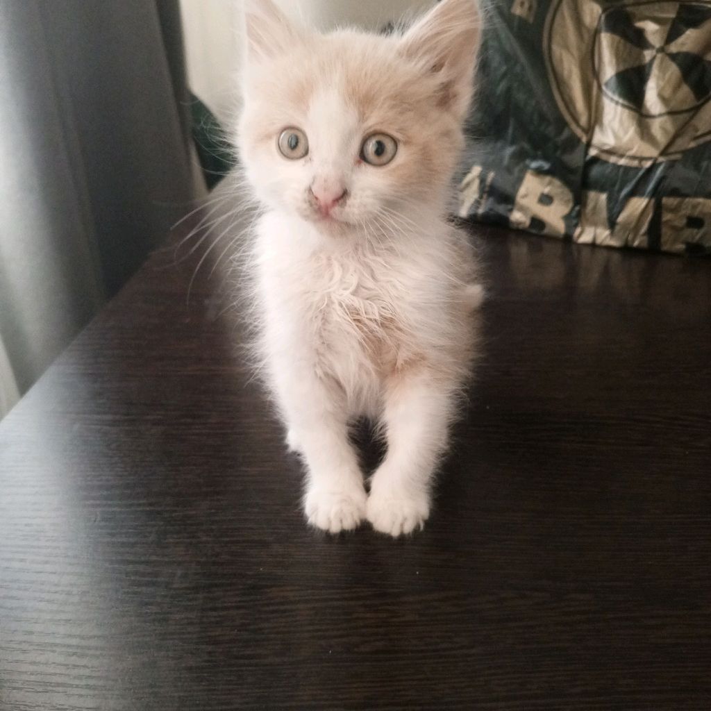 Иконка канала Майфунн