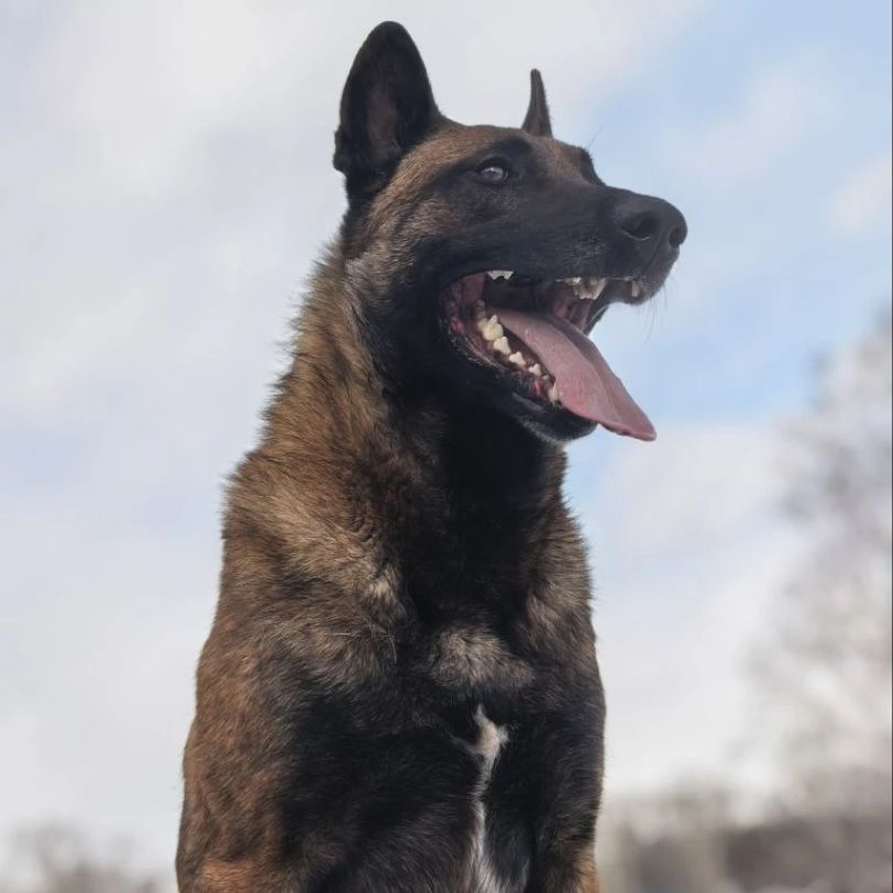 Иконка канала ludmila