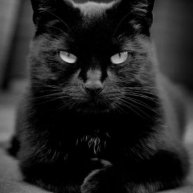 Иконка канала МАГИЯ ВОСКА