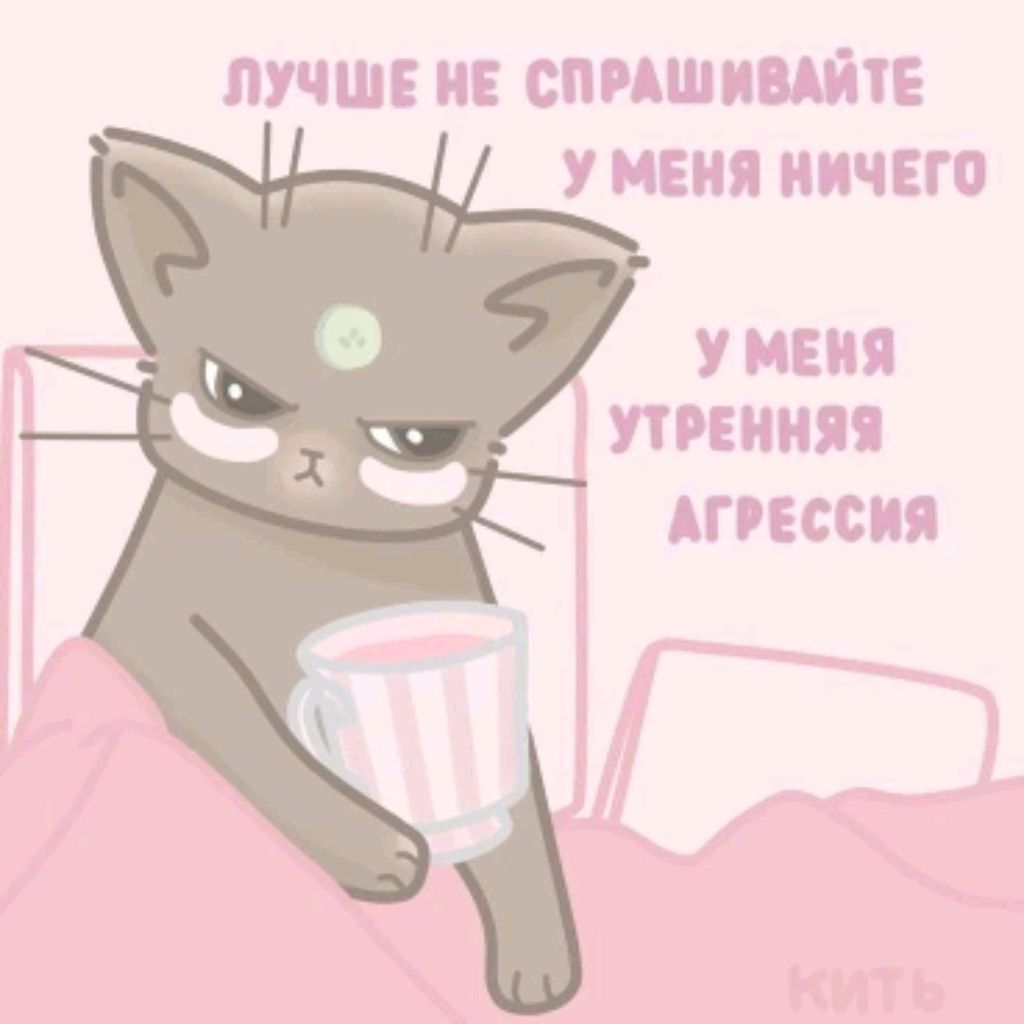 Иконка канала Kleo-san