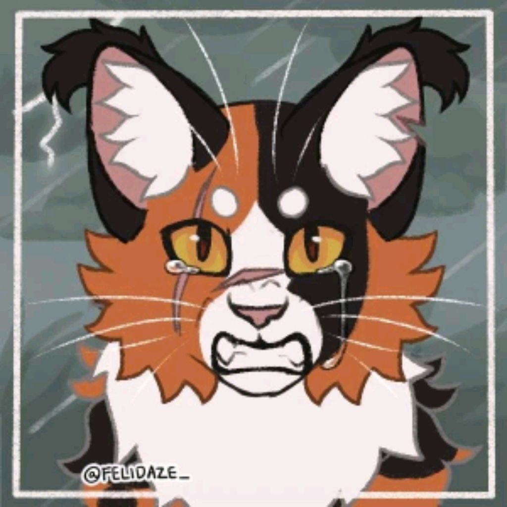 Иконка канала Vi~ КВ💋