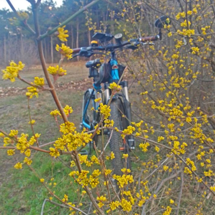 Иконка канала Polina from Crimea