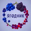 Иконка канала Ягодник