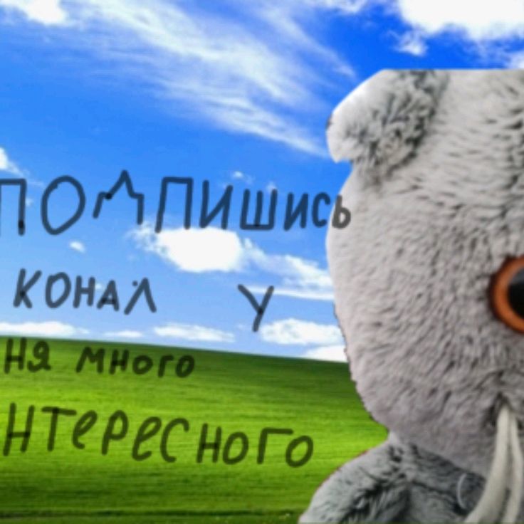 Иконка канала Лунный Кот