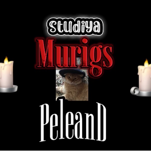 Иконка канала Studiya Murigc - PeleanD