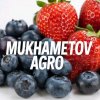 Иконка канала 🅜🅤🅗🅐🅜🅔🅣🅞🅥 🅐🅖🅡🅞