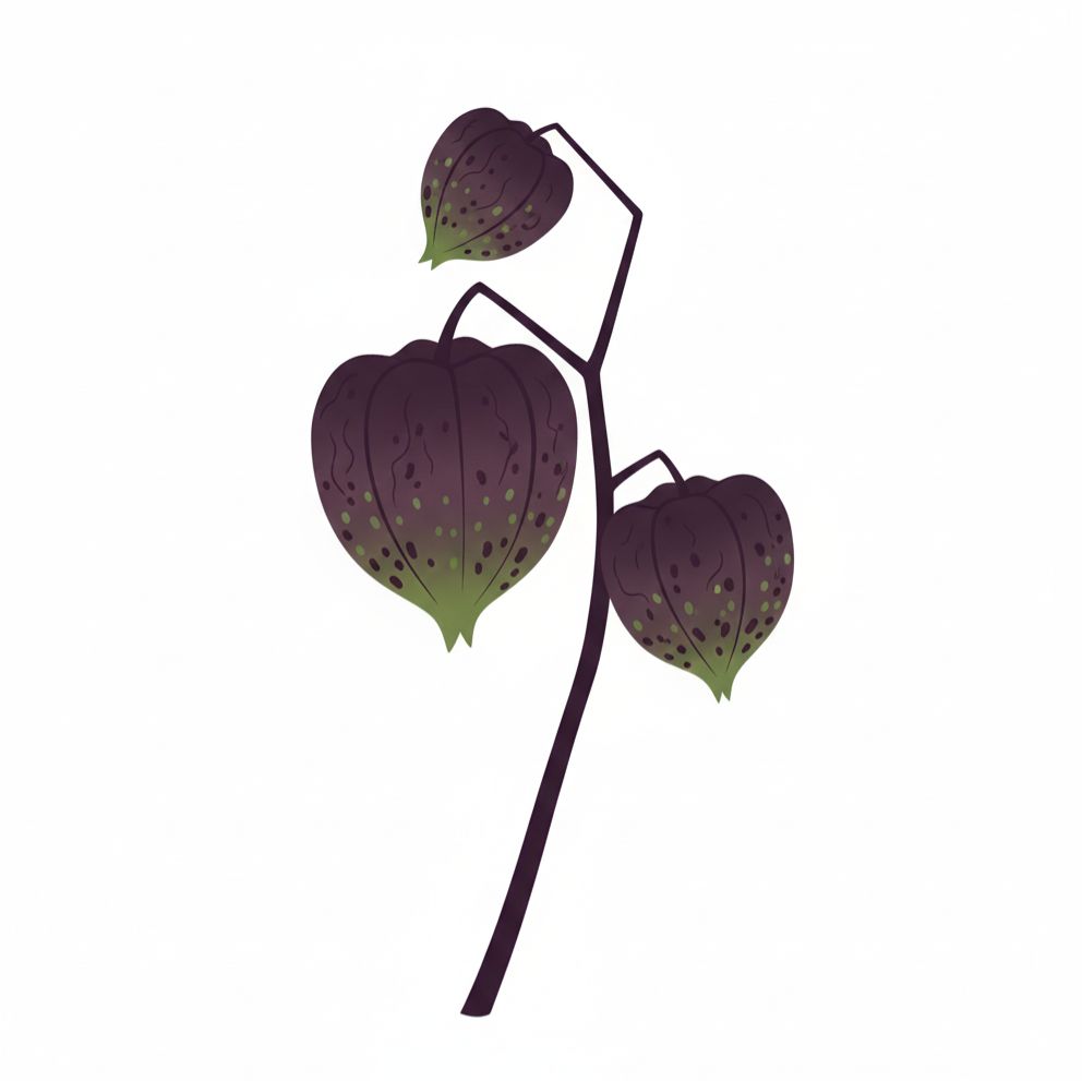 Иконка канала NikandraFlowers