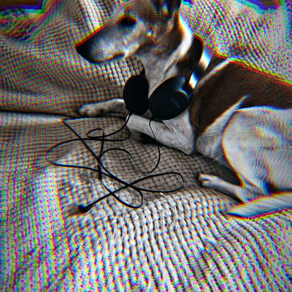 Иконка канала Соня Лавалампа