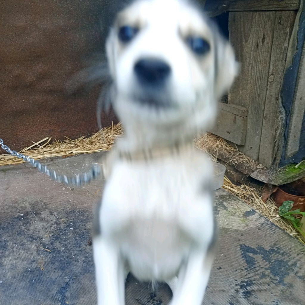 Иконка канала Иван Солдат