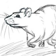 Иконка канала Замкадный Трэш | Мукбанг