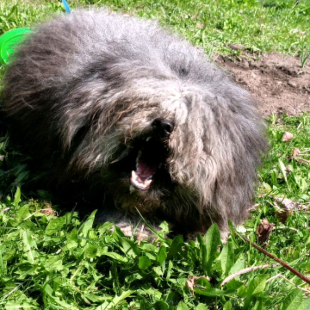 Иконка канала Vovanchec