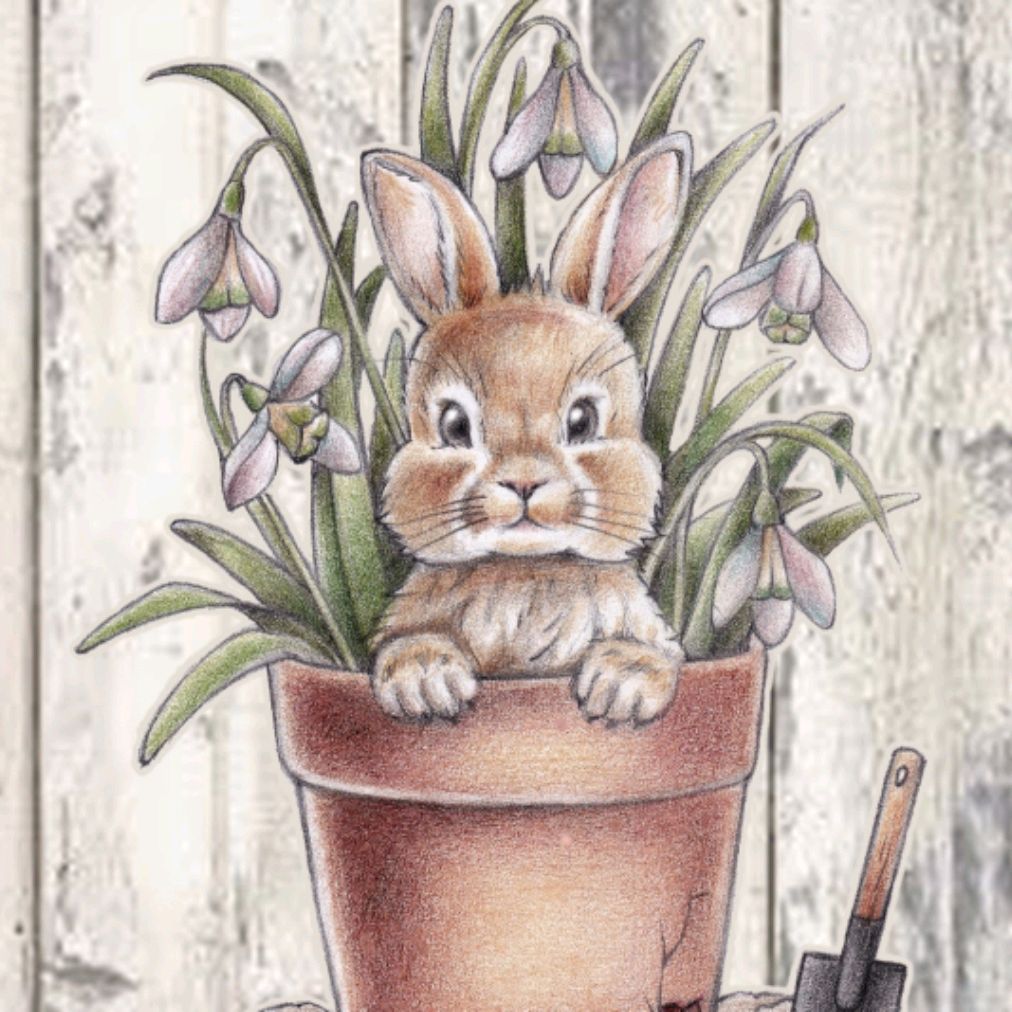 Иконка канала Волшебство в кармане