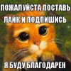 Иконка канала Крыса без глютена