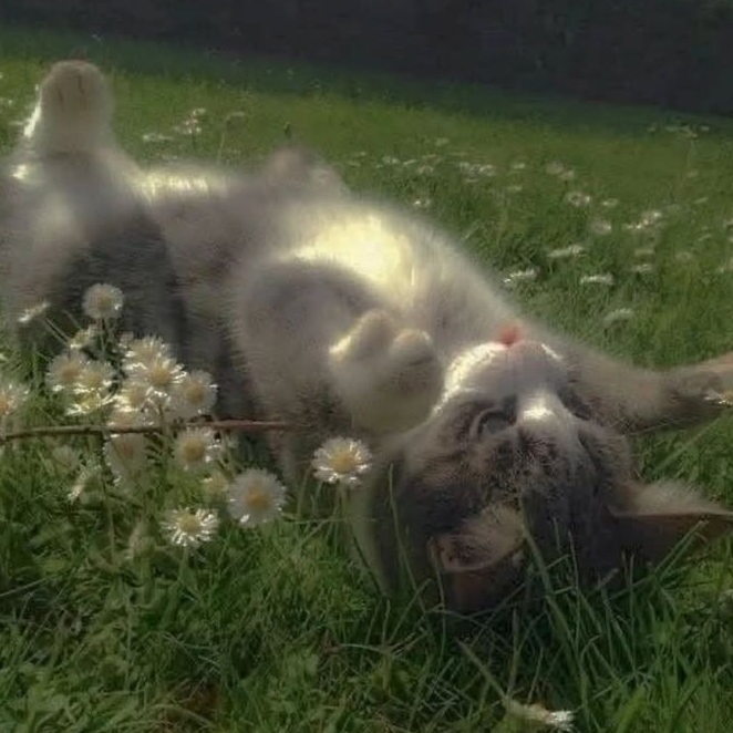 Иконка канала "Моё творчество-чек🙌🏻🎧