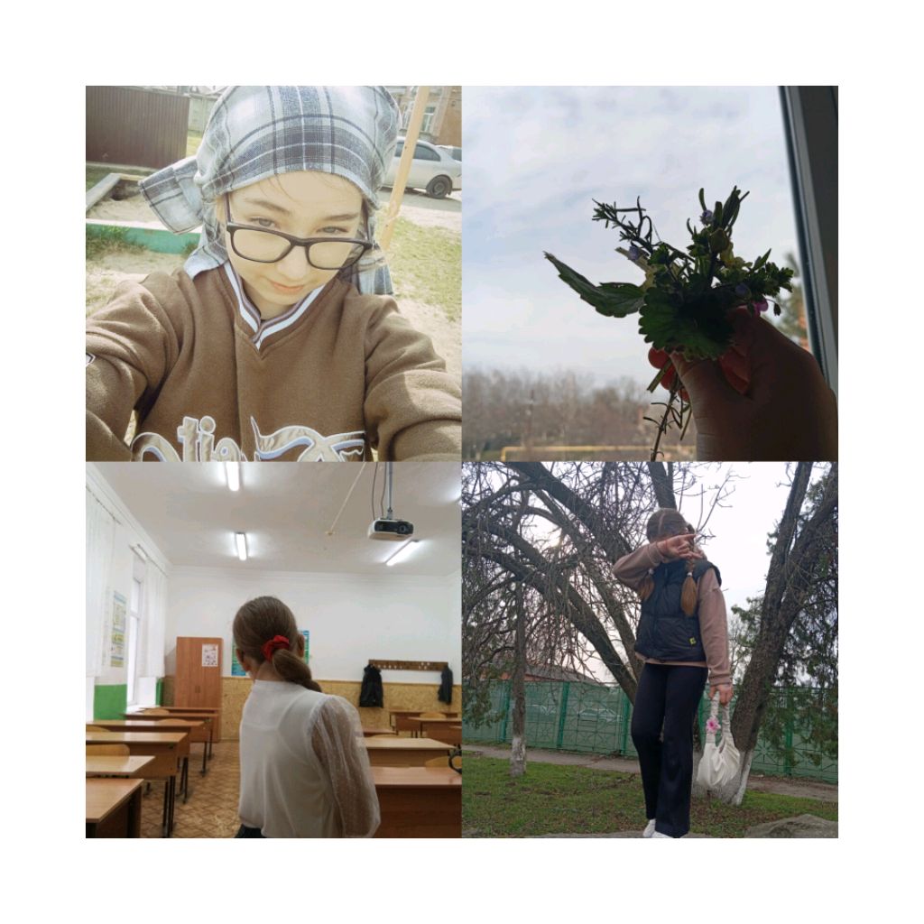 Иконка канала 🐻Soniks🐻