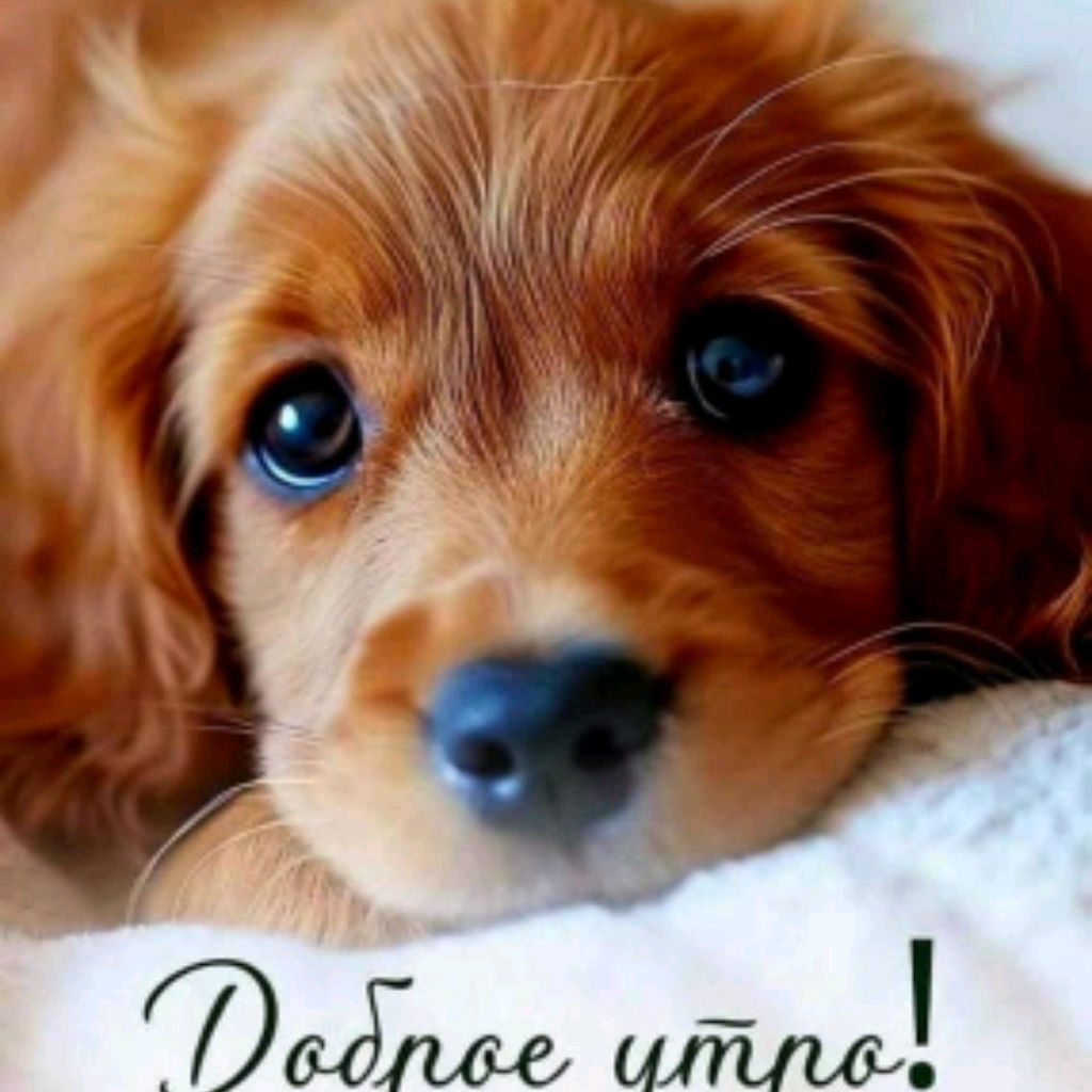 Иконка канала Klass🫣🫣🫣