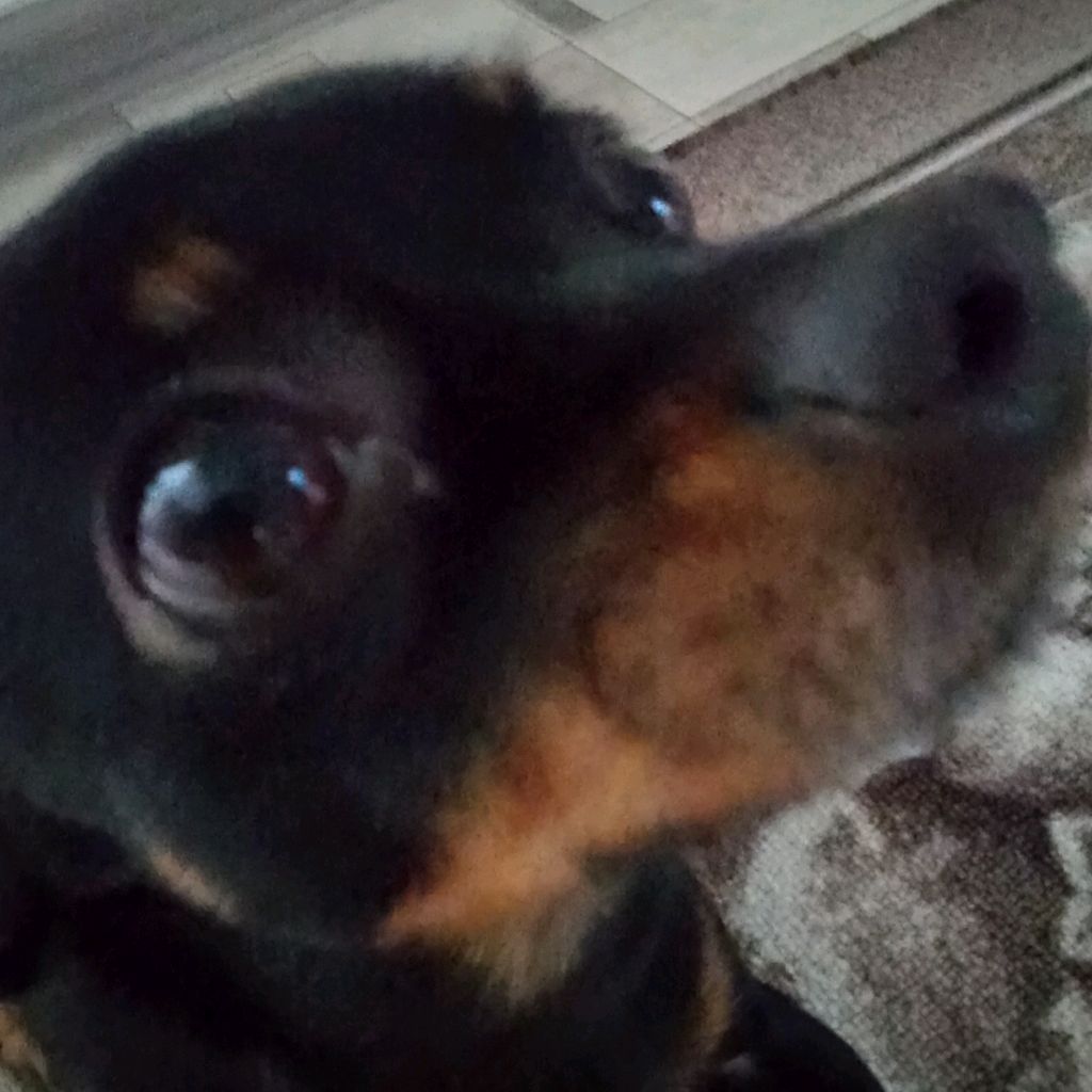 Иконка канала Fkaskey