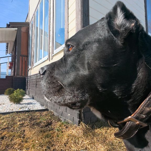 Иконка канала Korsa