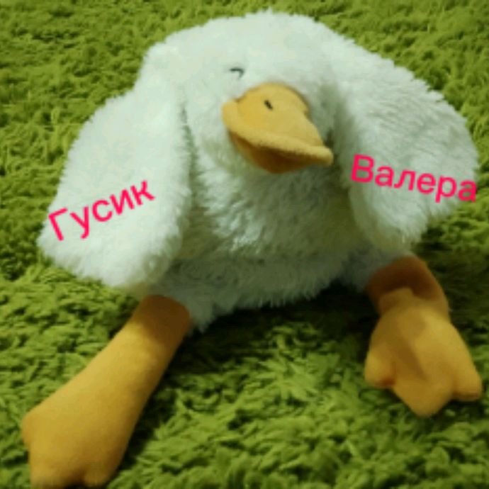 Иконка канала Гусик Валера 🪿