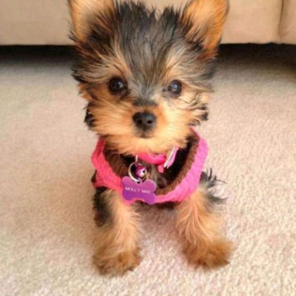 Иконка канала channel73436317