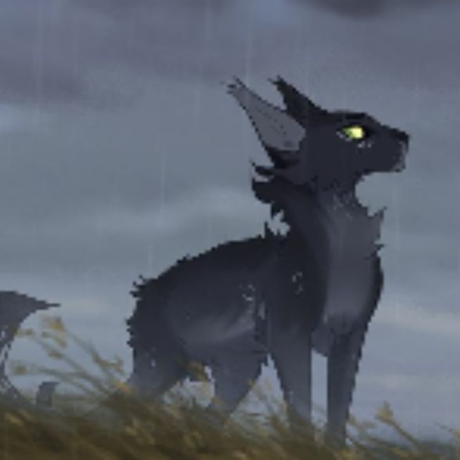 Иконка канала Мгла