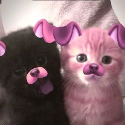 Иконка канала Влад Roblox и Вика Roblox