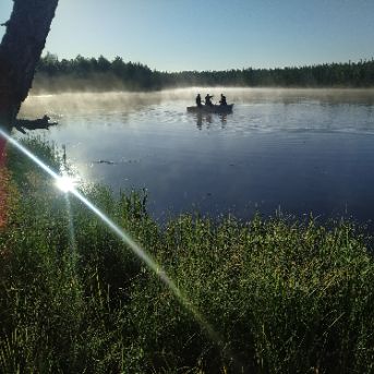 Иконка канала ПОСМОТРИМ