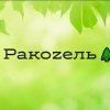 Иконка канала Ракоzель 🔆