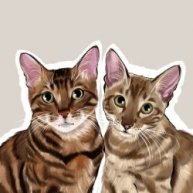 Иконка канала Бенгало-банда | Блог о кошках, Лекс и Фокси