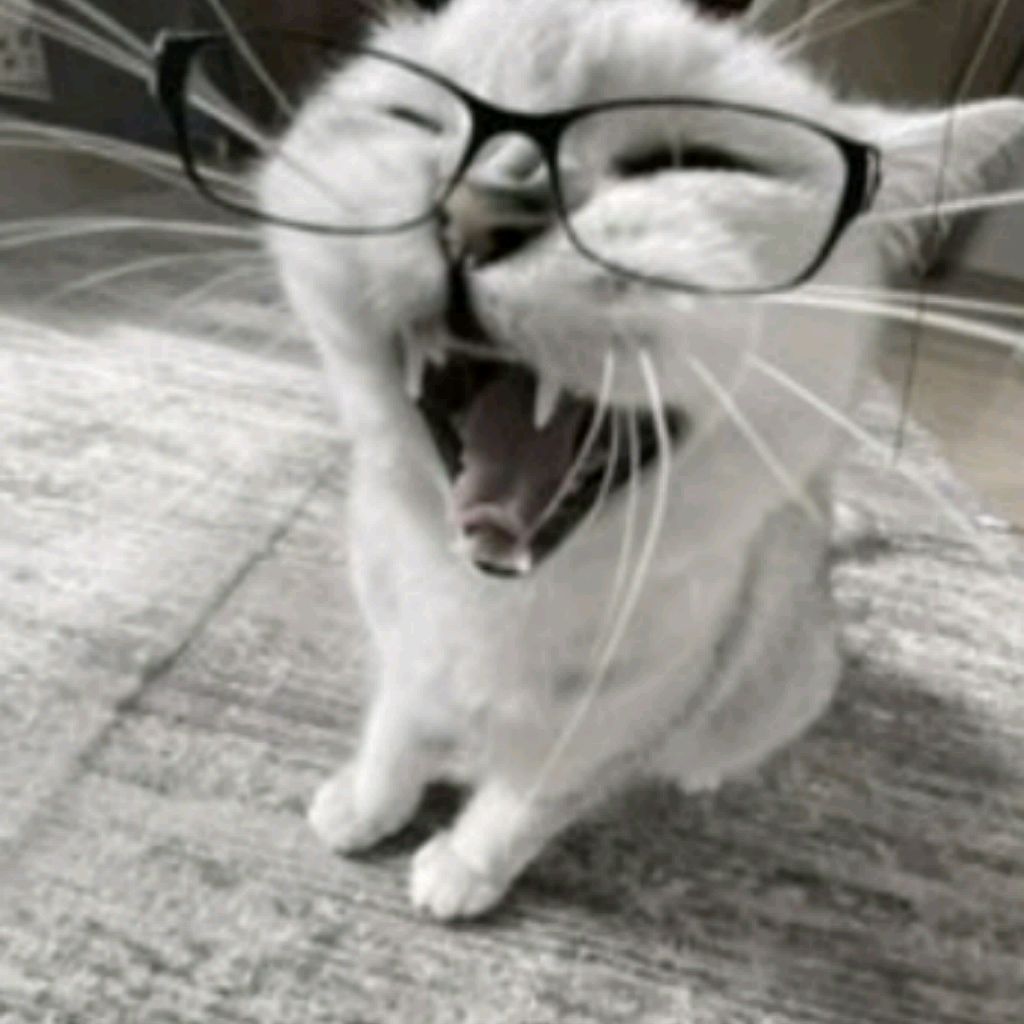 Иконка канала София 🫠🧋