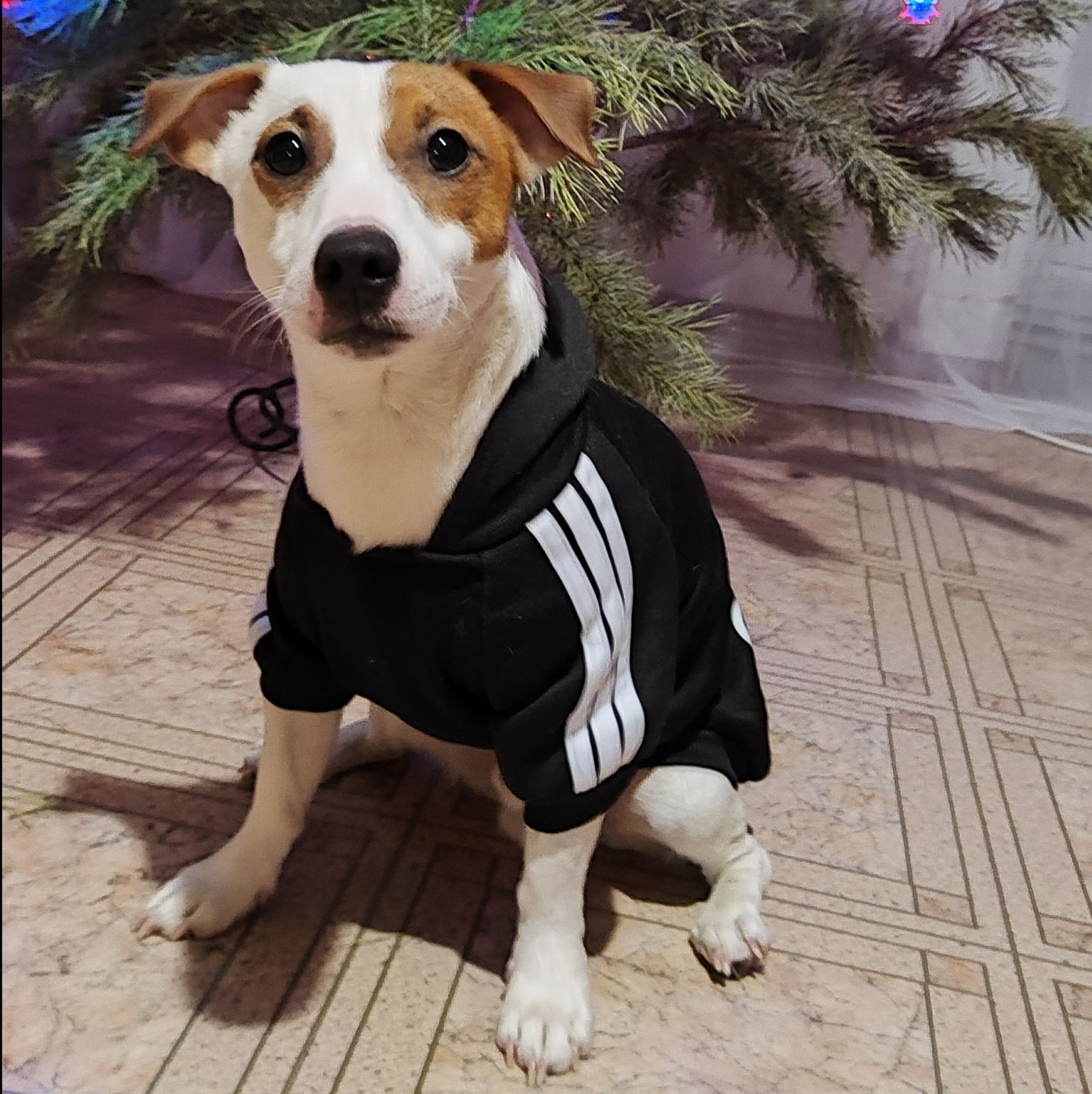 Иконка канала Арни