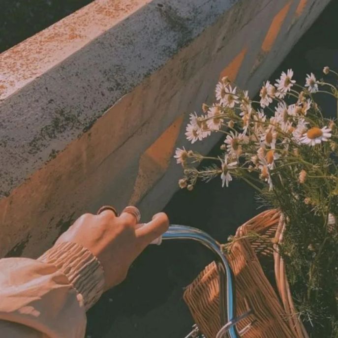 Иконка канала 🤍𝔸𝕞𝕀𝕟𝔸 𝕁𝕠𝕪🎀