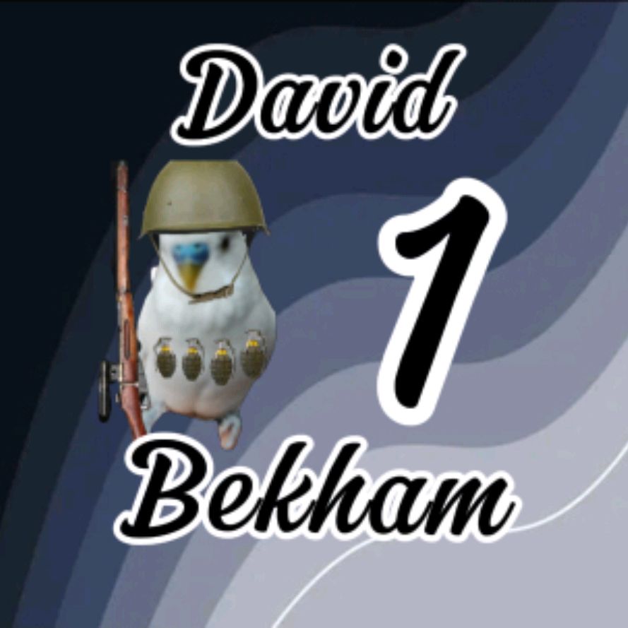 Иконка канала Devid_1_Bekham Standoff 2