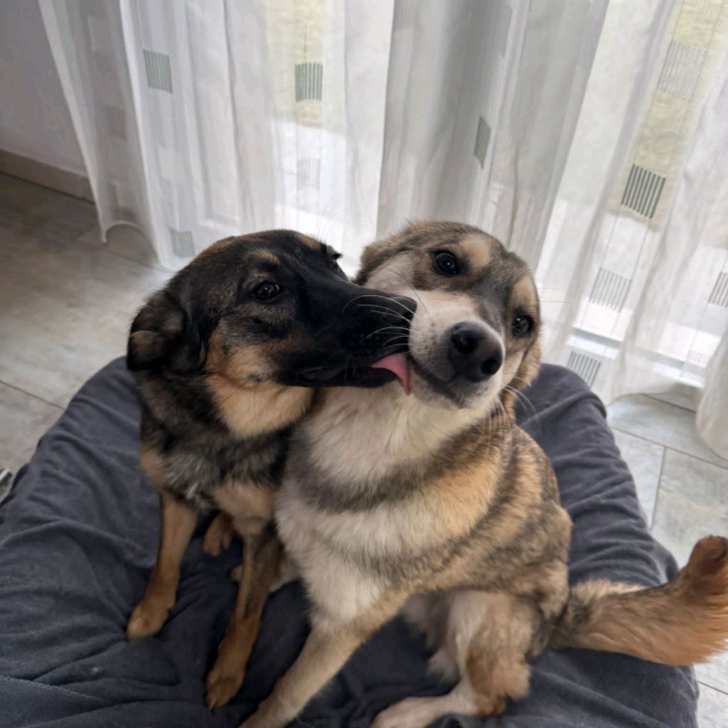 Иконка канала Татьяна и все мы😊