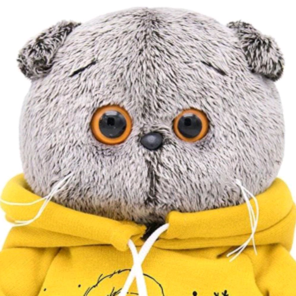 Иконка канала Басик Корабасик